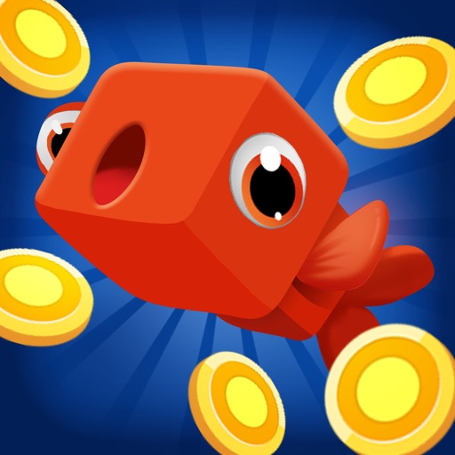 Coin Fish by MING ZHAO