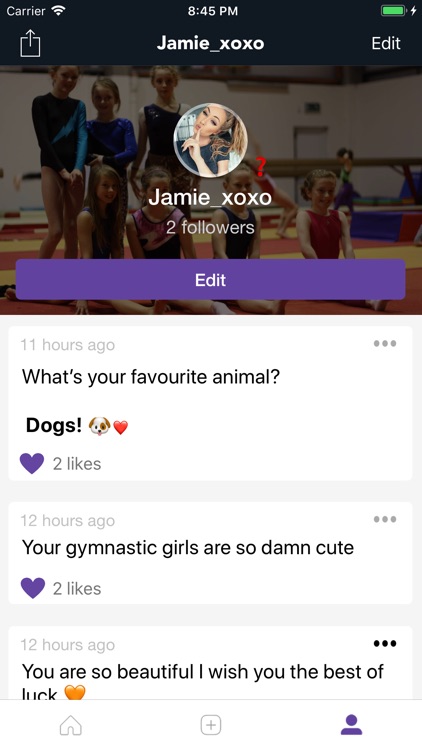 Honesty - Anonymous Messaging by Jody Howatt