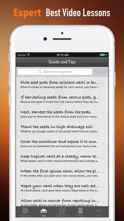 Cacti Identification Tips|Guides and Tutorial by Steve Chang