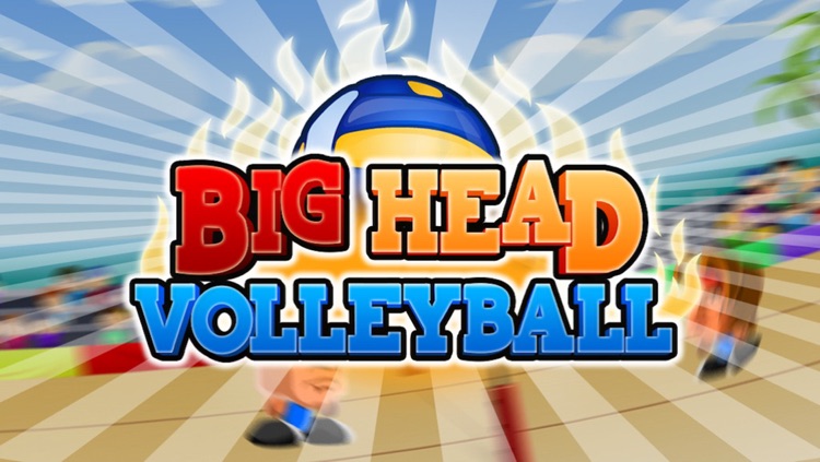 Big Head Volleyball HD by Camille Garick