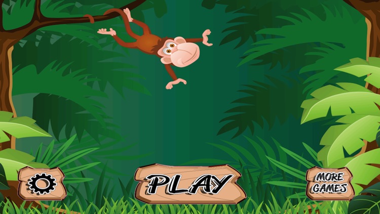 Flying Monkey - Bop, Bam, Boom! Pro by Amy Prizer
