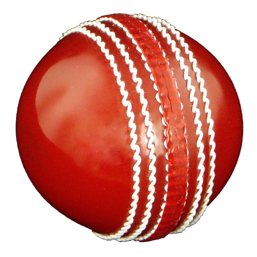 Rolling Cricket Ball by Shamim Mahmud