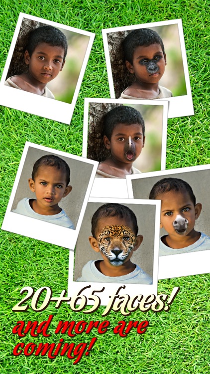 Animal Face Maker - Turn Your Photo to Cute Cat, Dog, Fox, Wolf ...