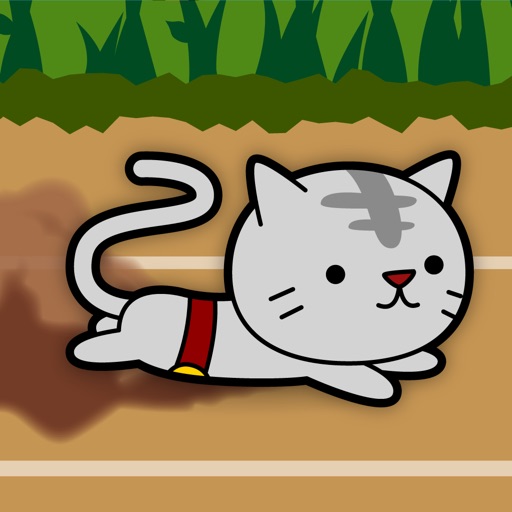 Cat Sliding by Soneru Inc.