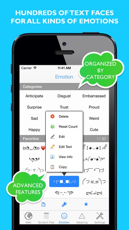 Text Faces - SMS Emotions, Symbols & Phrases Organizer by kreeble