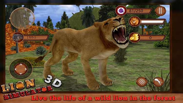 Lion Simulator 3D 2016 by Mahmood Ahmed