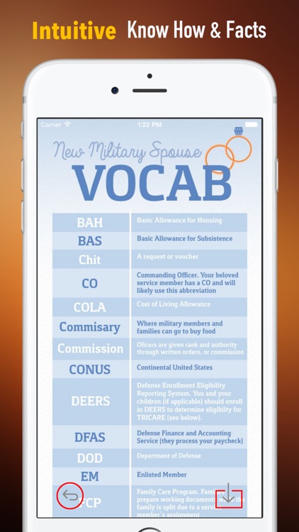 Glossary of Military Terms & Slang by Monica G