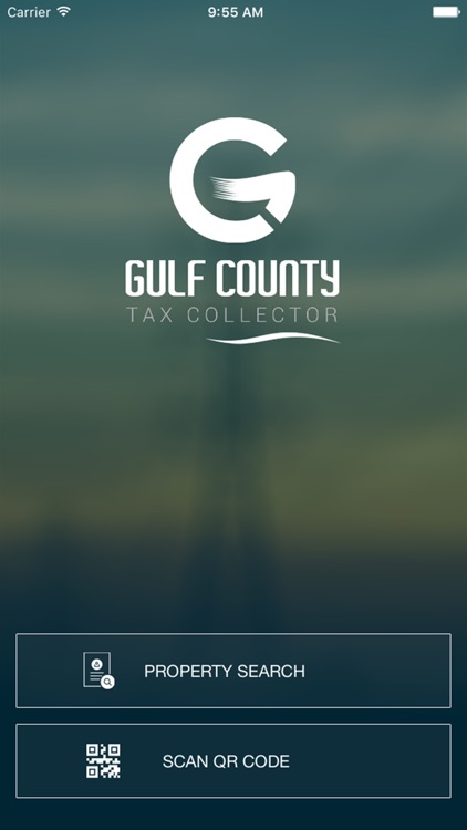 Gulf County Tax Collector by VisualGov Solutions LLC