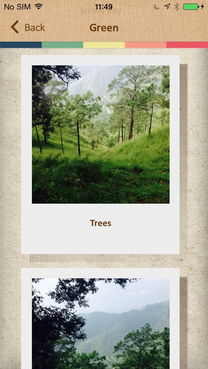 Must Stash: Stashing Your Pics by Reflective Practices, LLC