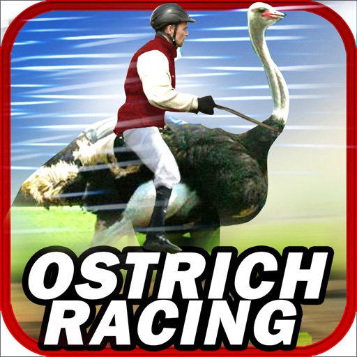 Ostrich Racing by Syeda Kausar fatima