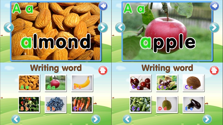 ABC Alphabet Fruit Veg Flashcards Write by SangHoon Lee