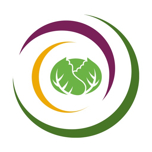 Get Tossed by Tossed Franchise Corporation