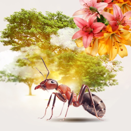 Creer es Poder by Inmov SAS