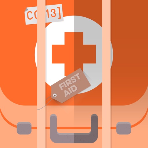 CO13 Notfallkoffer by Co[13] – Gruppe für systemische Beratung GmbH