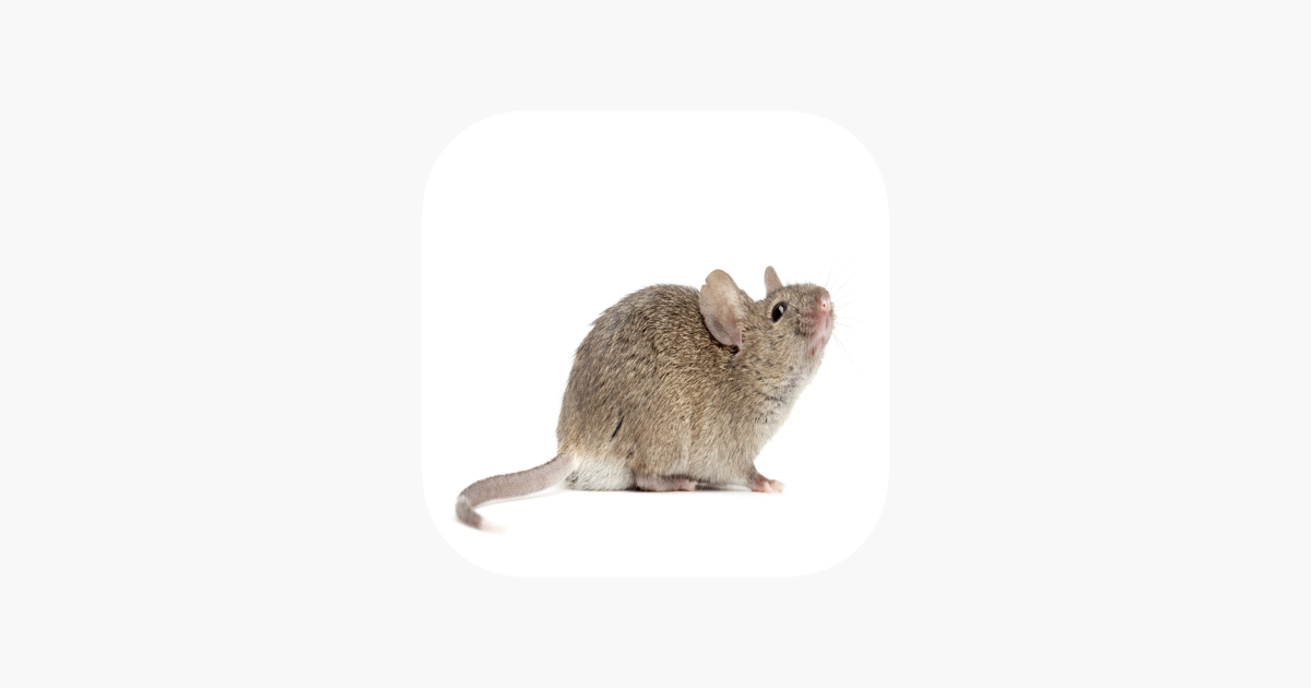 ‎Mouse Noise - Sounds Effects of Mice For Your Device on the App Store