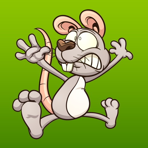Cheesy Run by Digi Smile Limited