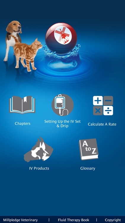 Animal IV by Millpledge Ltd