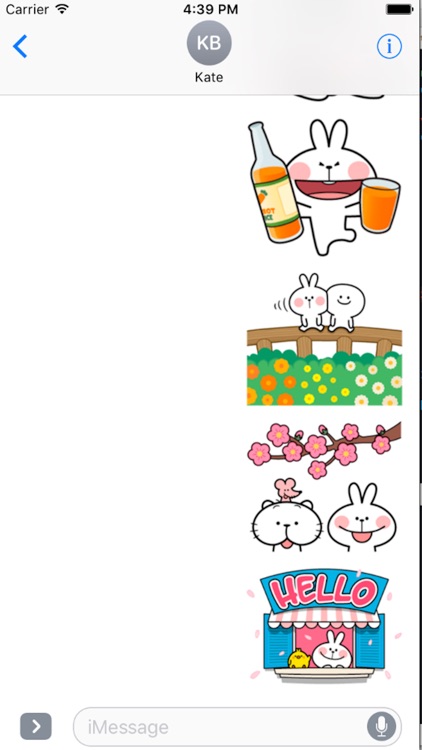 Spoiled Rabbit Spring by Binh Pham