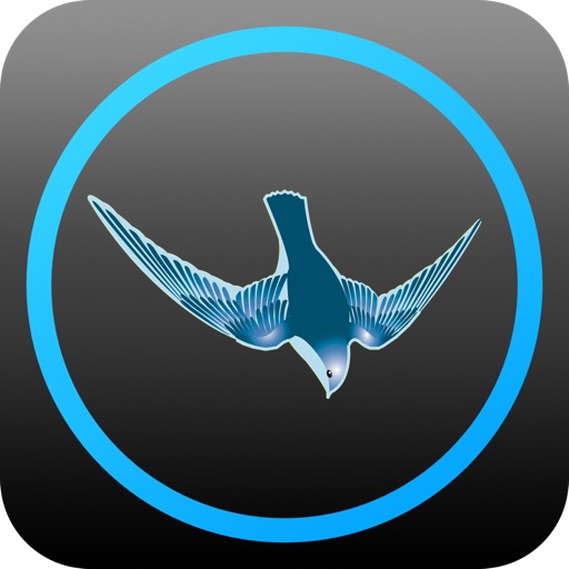 Swift Explorer by Jamie Kennea