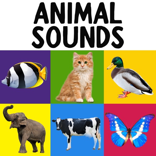 My First Words - Animals Sounds by bhaumik harshadray mehta