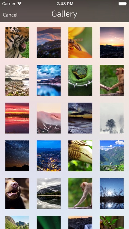 Live Wallpapers & Live Editor by Gabriel Dana