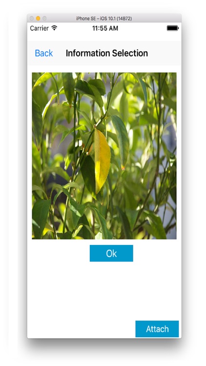 eNVD by Thorsys Australia Pty Ltd