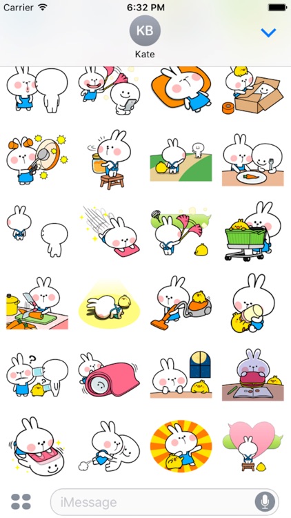 Spoiled Rabbit Apron by Binh Pham