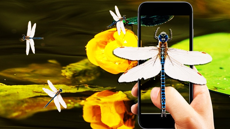 Dragonfly On Hand Simulator Prank by ALEXANDR GUSEV
