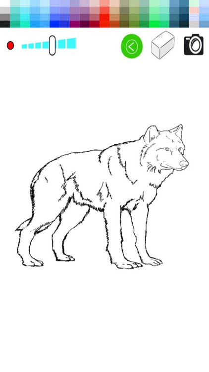 Family Wolf Color Game For Kids by piboon Srisontisuk