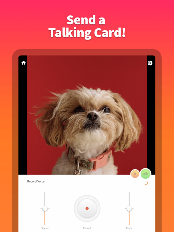 Pet Animator Send ECards App Voor IPhone IPad En IPod Touch Pet Animator Send ECards App Voor IPhone IPad En IPod Touch