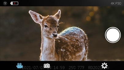 Game Camera Pro for PC - Windows 7,8,10,11