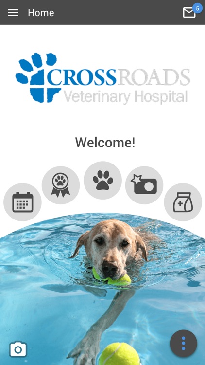 Crossroads Vet Hospital by CROSSROADS VETERINARY HOSPITAL INC.