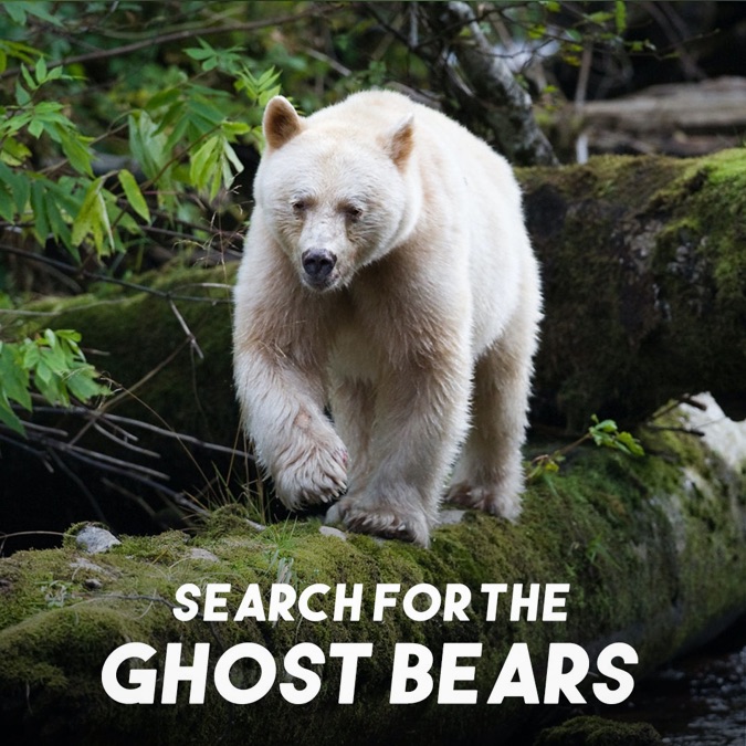 Search for the Ghost Bears | Apple TV