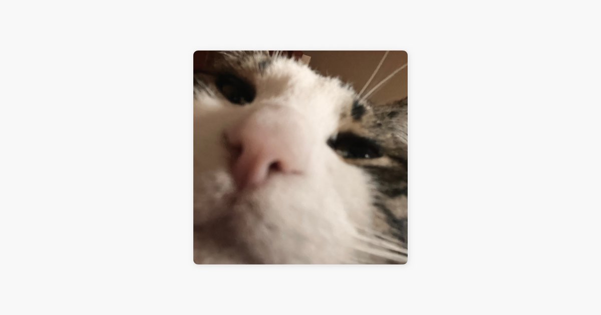 ‎real emo only consists of an aesthetic by brandon on Apple Music