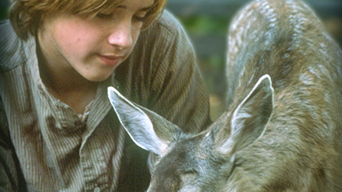 The Yearling - Apple TV