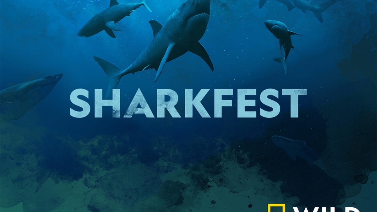 Shark vs. Predator - SharkFest (Season 2017, Episode 1) - Apple TV