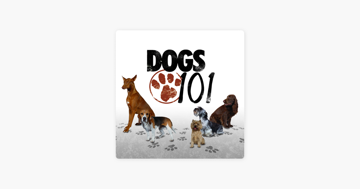 ‎Dogs 101, Season 4 on iTunes