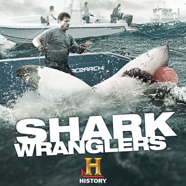 Shark Wranglers on iTunes