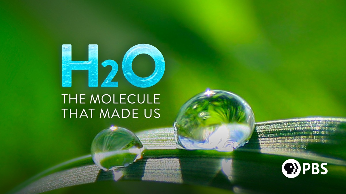H2O: La molécula que nos hizo | Apple TV