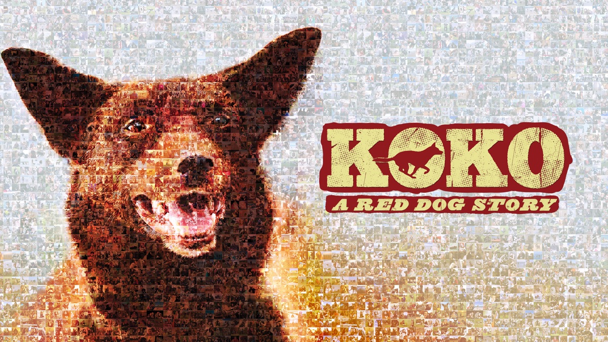 Koko: A Red Dog Story | Apple TV