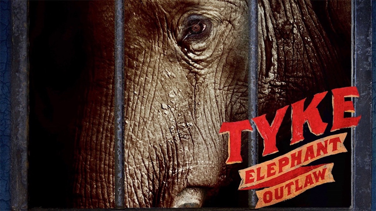 Tyke Elephant Outlaw | Apple TV