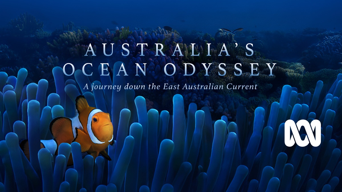 Australia's Ocean Odyssey: A Journey Down the East Australian Current ...