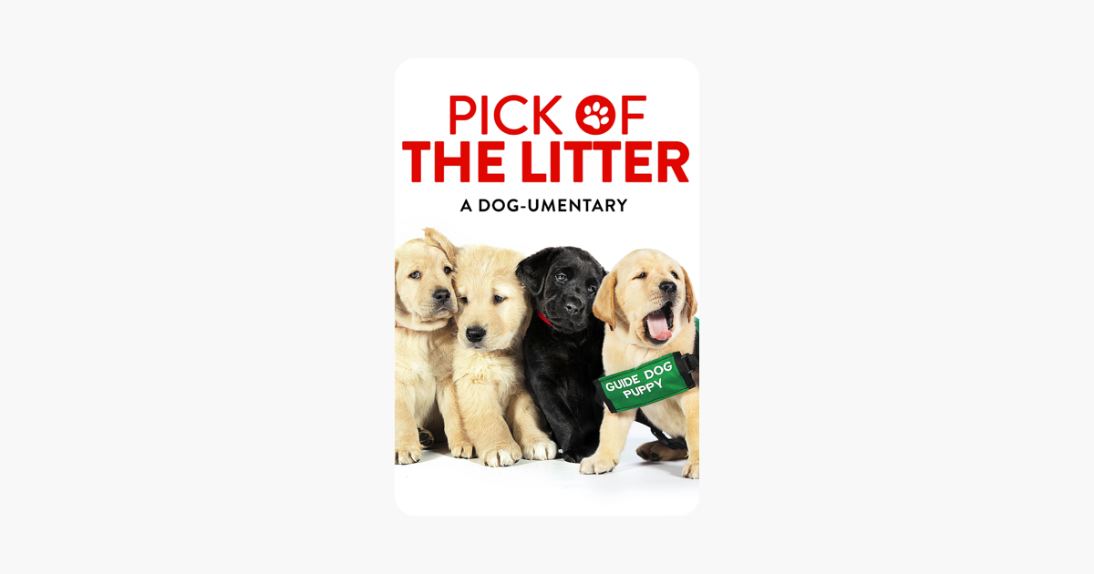 ‎Pick of the Litter on iTunes