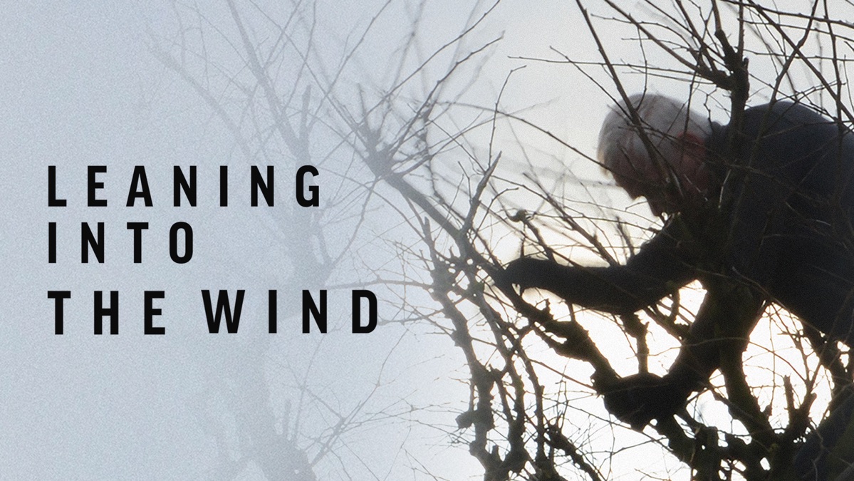 Leaning into the Wind - Andy Goldsworthy | Apple TV