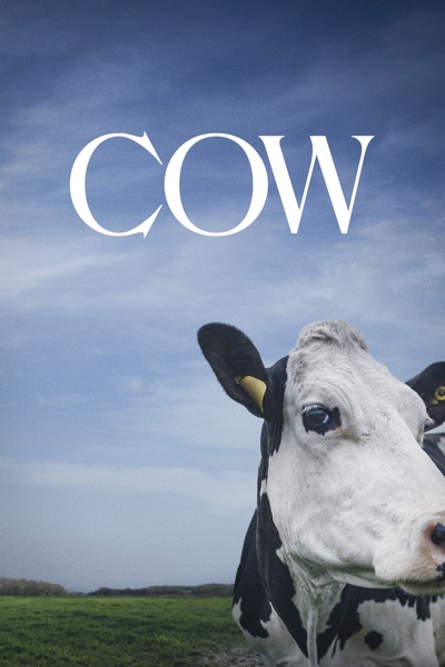 Cow - Movie Trailers - iTunes