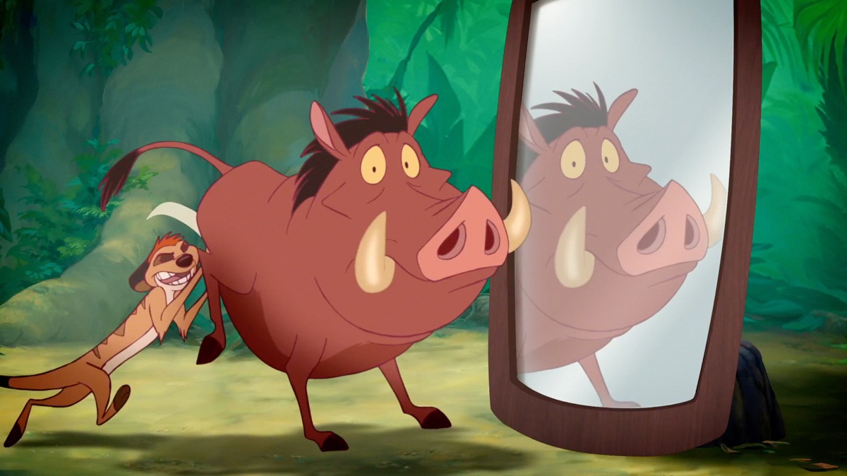 Disney's Wild About Safety: Timon and Pumbaa Safety Smart® On the Go ...