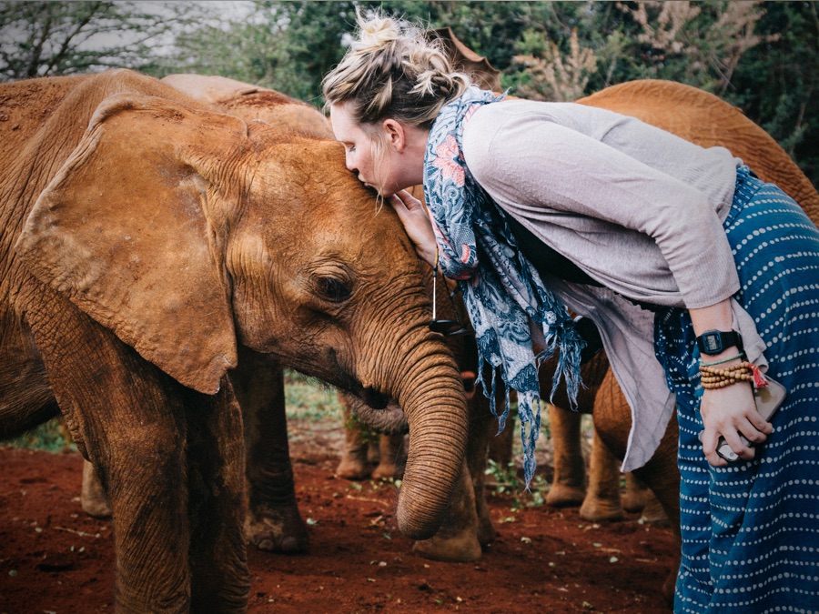 Dodo Heroes | Apple TV