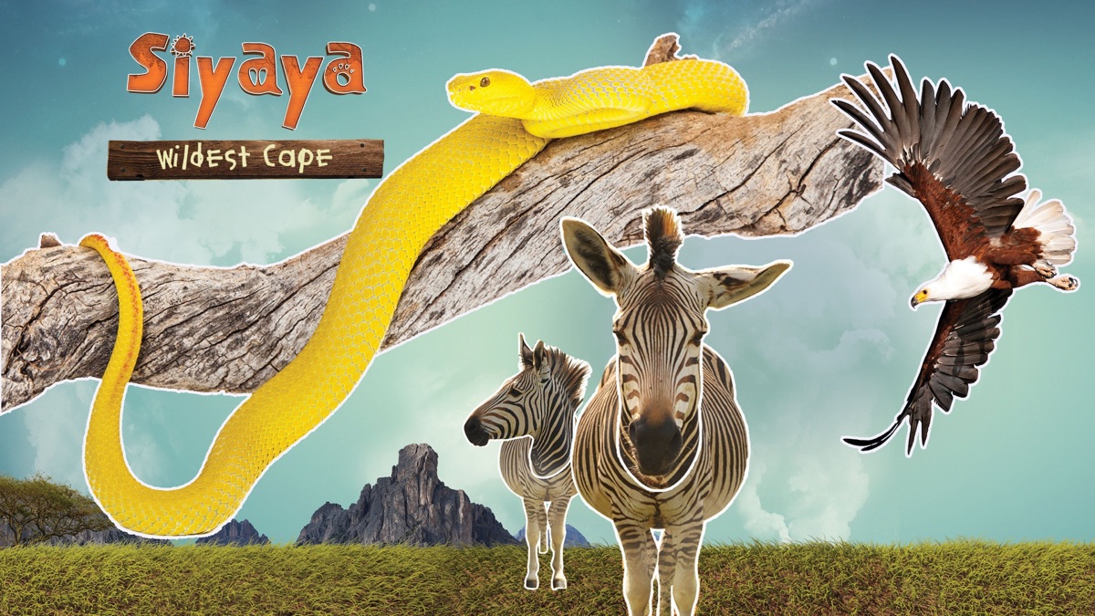 Siyaya - Wildest Cape | Apple TV