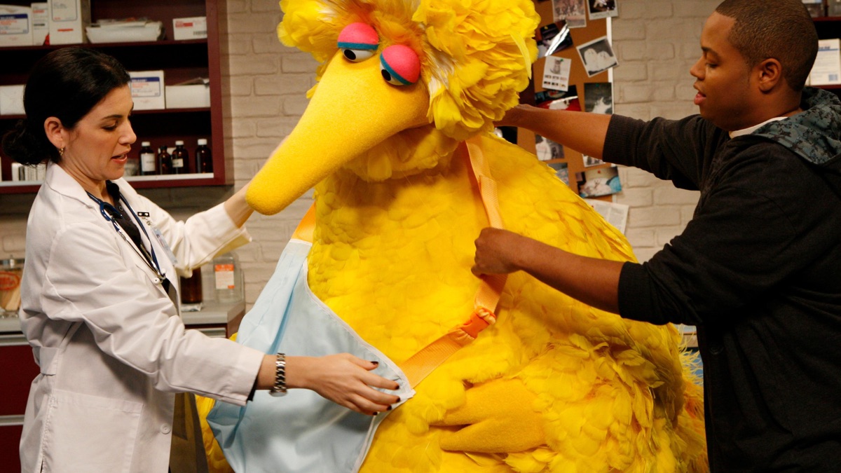 Wing in a Sling - Sesame Street (Season 40, Episode 20) - Apple TV