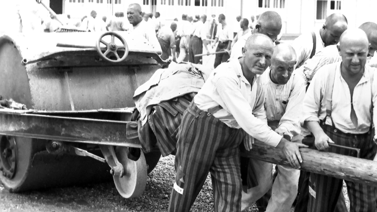 Hitler's Slaves: Forced Labour Under the Nazis | Apple TV (AU)